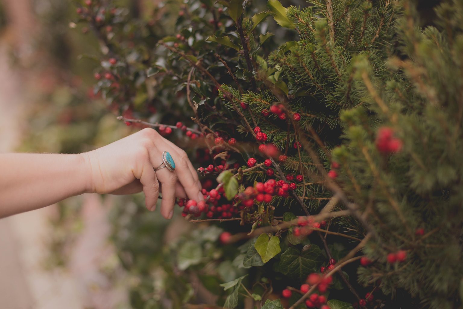 Week 16 - Foraging for fun - Home-Start Royston, Buntingford & South ...
